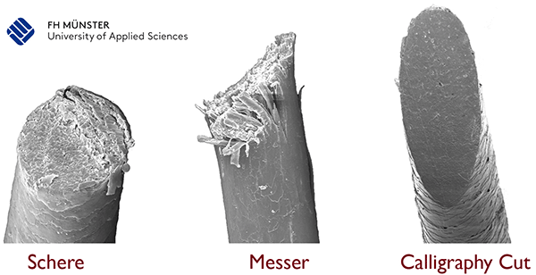 The Calligraphy Cut mit dem German Innovation Award in Gold ...