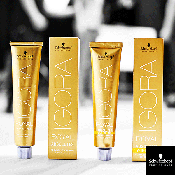 Igora Absolutes Color Chart Schwarzkopf Igora Royal Absolutes Hair